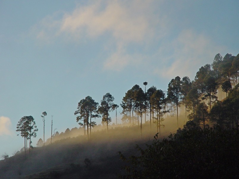Kunsi Ashram Photo Album | Purusha at Maharishi Ashram - Kunsi ...