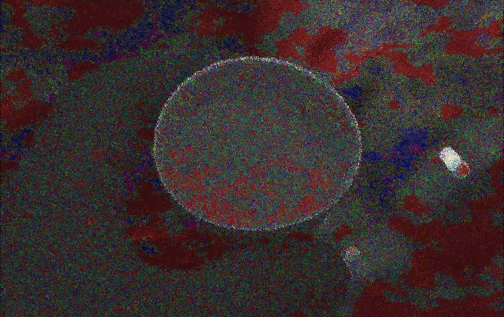 The Scriptures: Mark-05-22