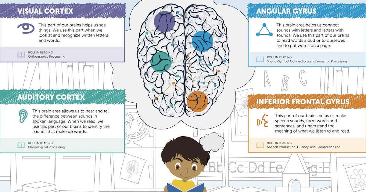 Parent Information Blog: Helping with reading, when you child first ...