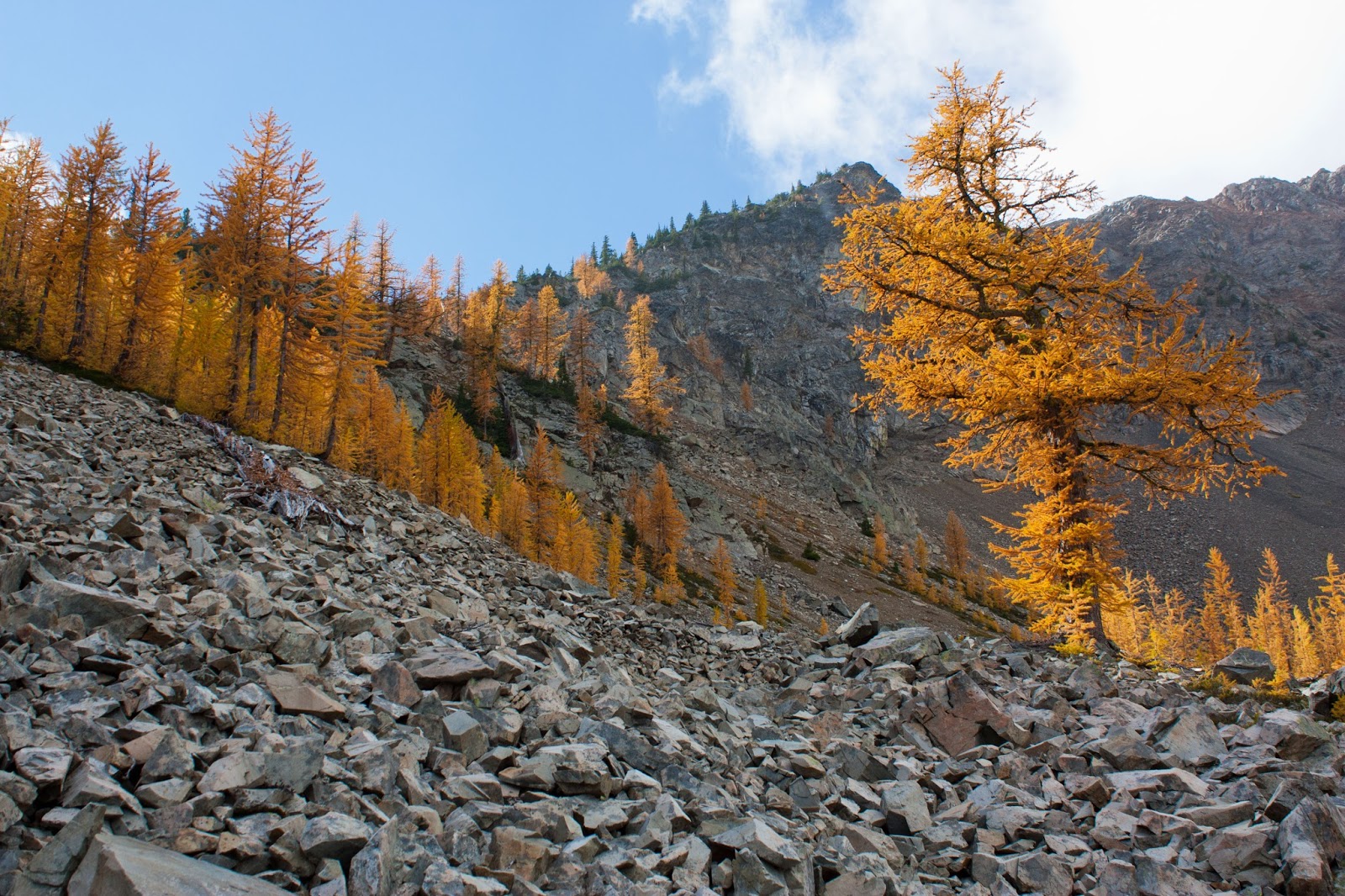 Hiking Shenandoah: Grasshopper Pass