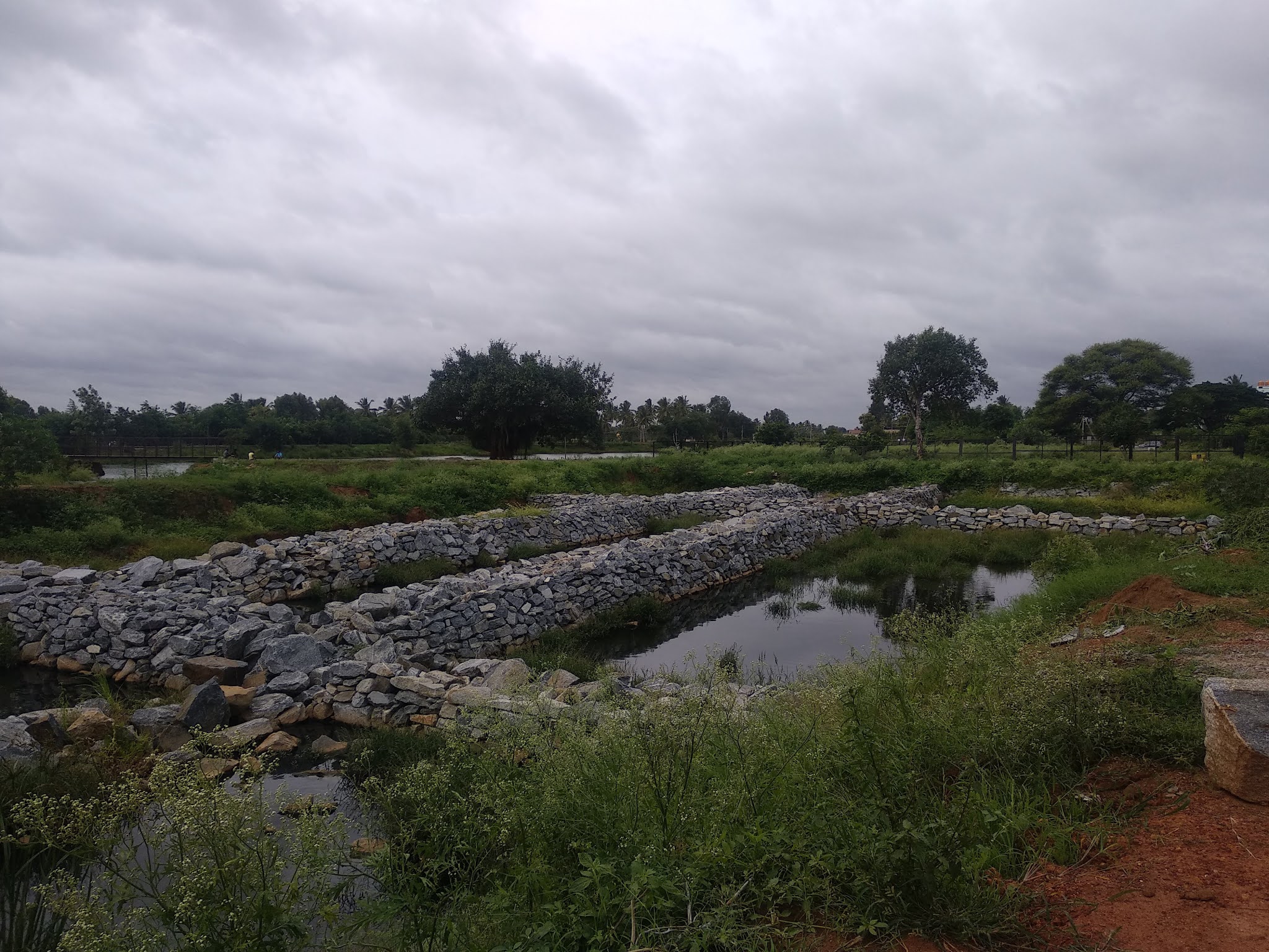 Kannamangala lake rejuvenated through Citizen-driven Participatory ...