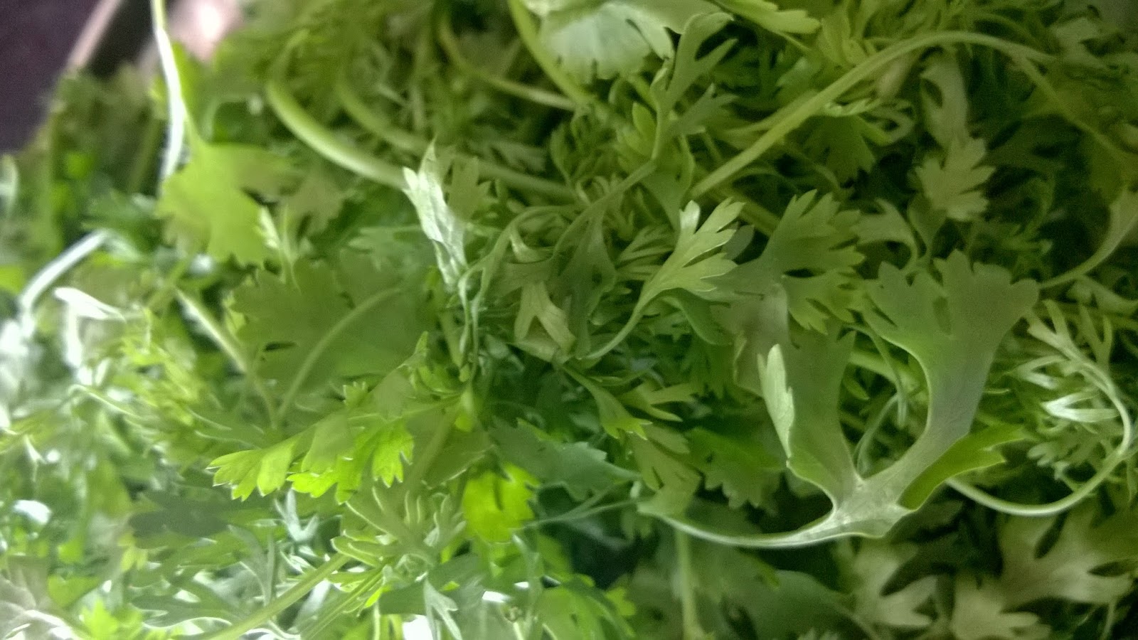 Spice of Life!: D is for Dhania