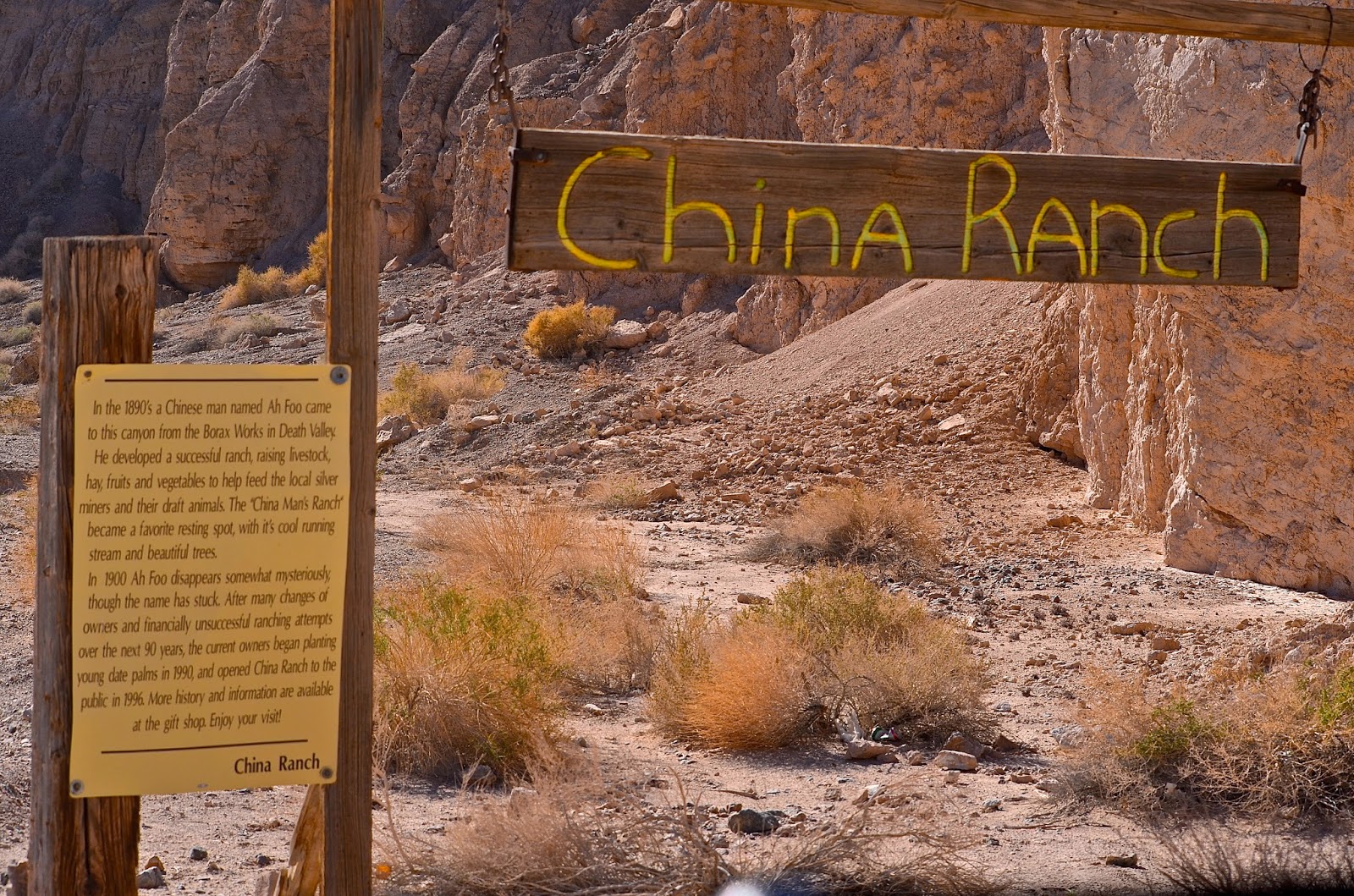 The Journey of a Lifetime: The China Ranch Date Farm