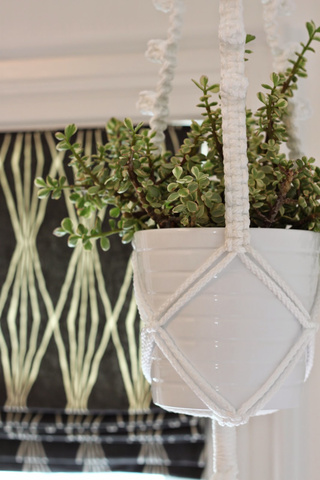 modern jane: Macrame and Succulents.