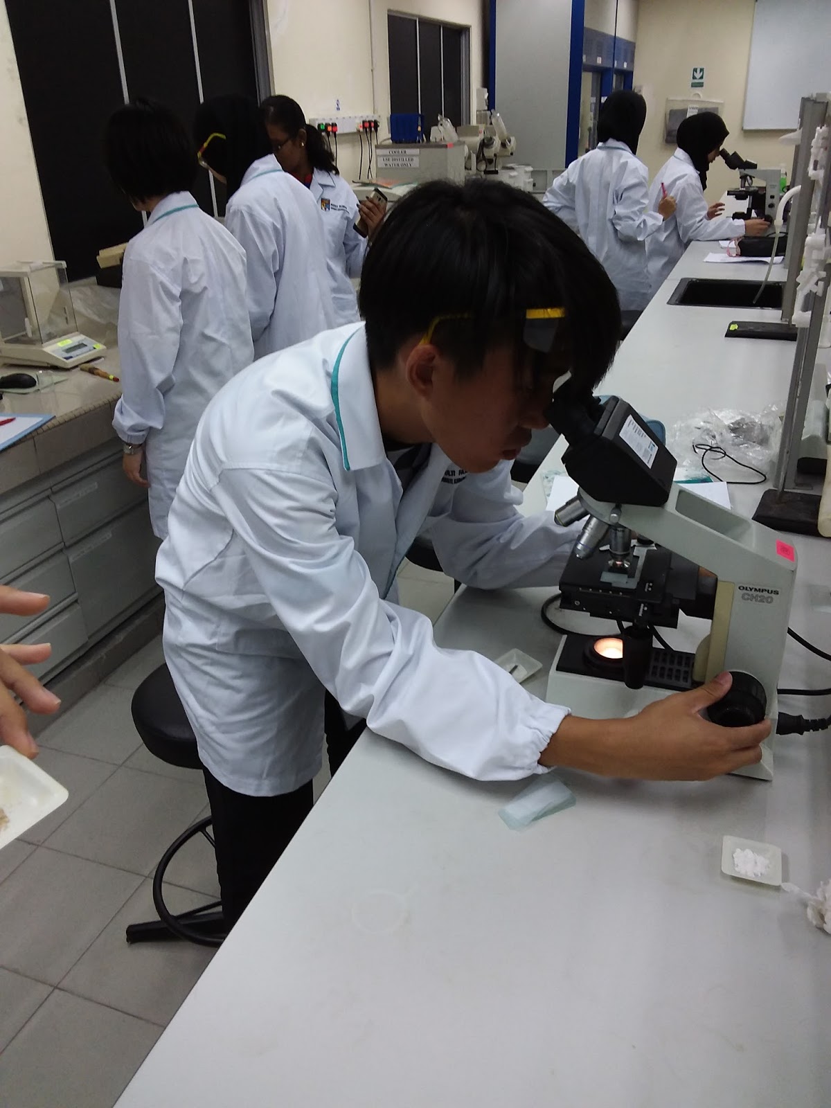 Lab report for Experiment 4b : Particle size and shape analysis using ...