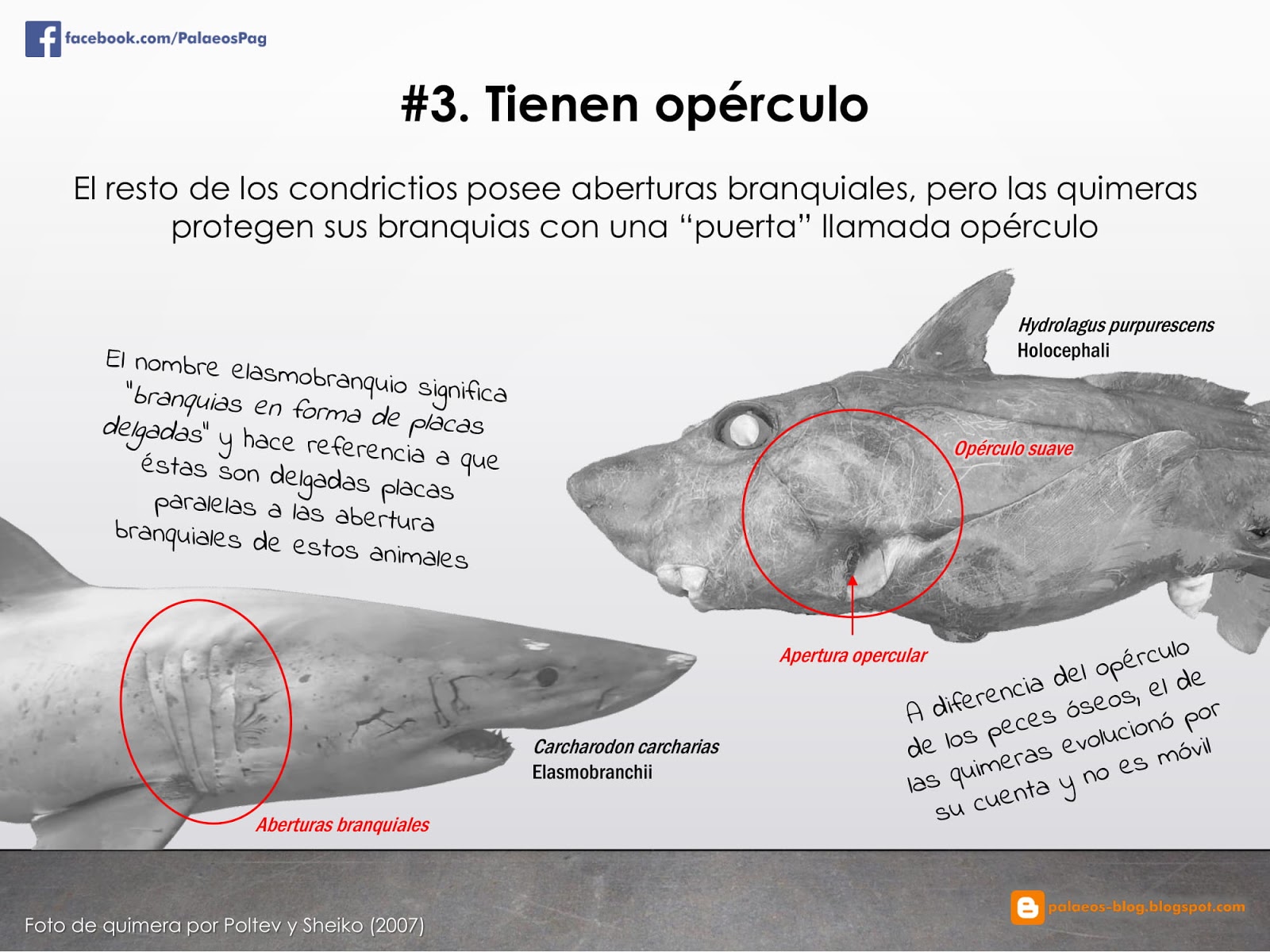 Palaeos, la historia de la Vida en la Tierra: abril 2018