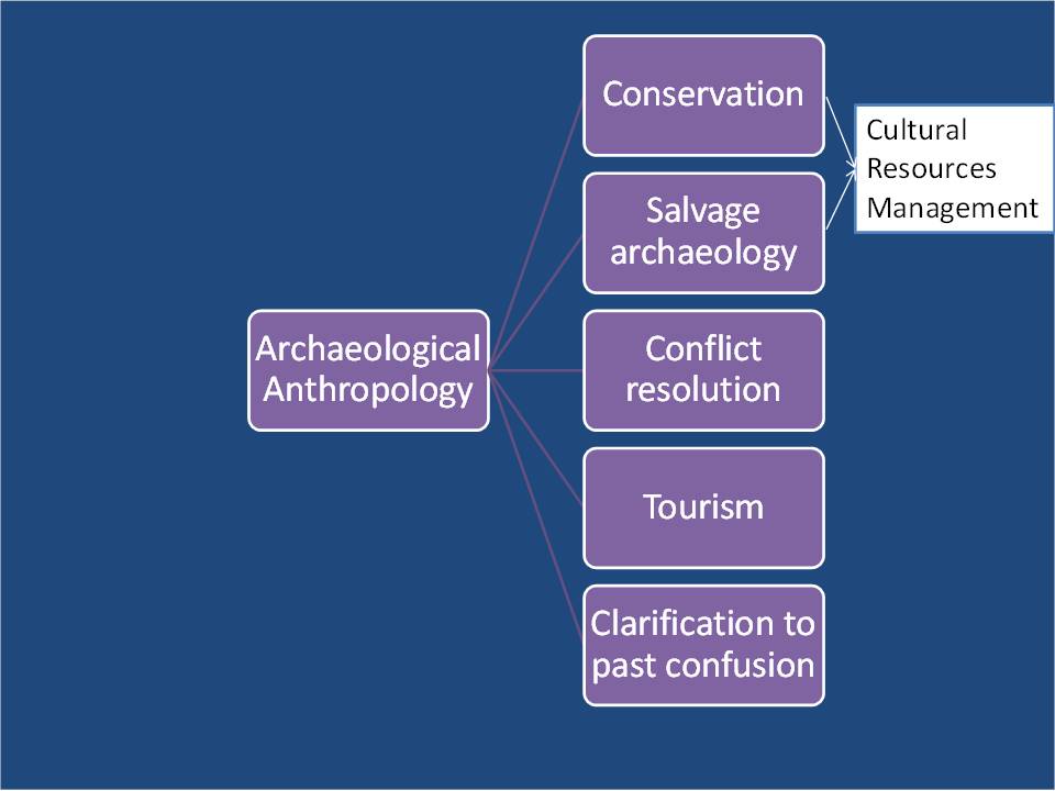 ANTHROPOLOGY FOR BEGINNERS: 2021