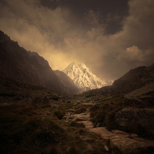 Paper Views: Stunningly Beautiful World