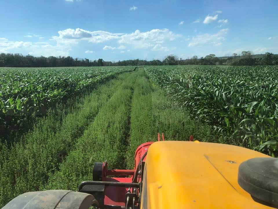 Pro Božice: Božice mají svého farmáře!