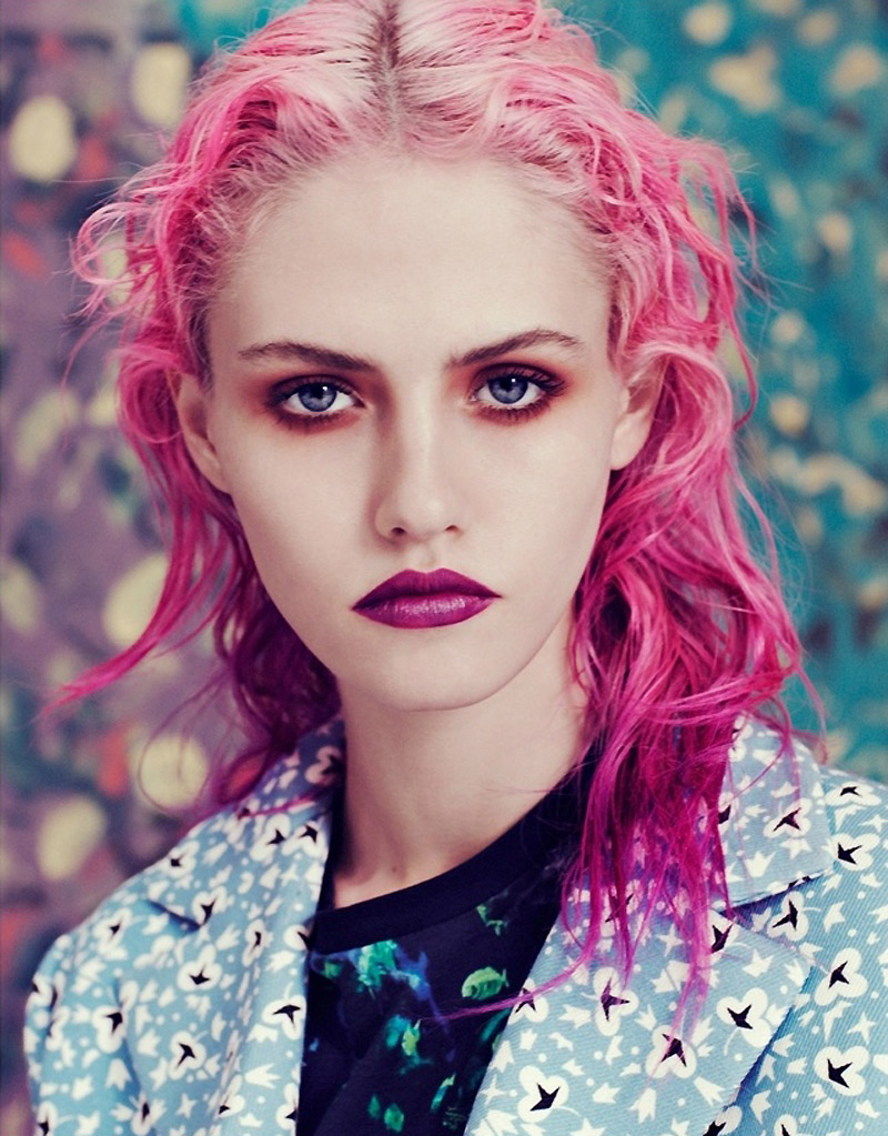 Oracle Fox: Born To Be Free