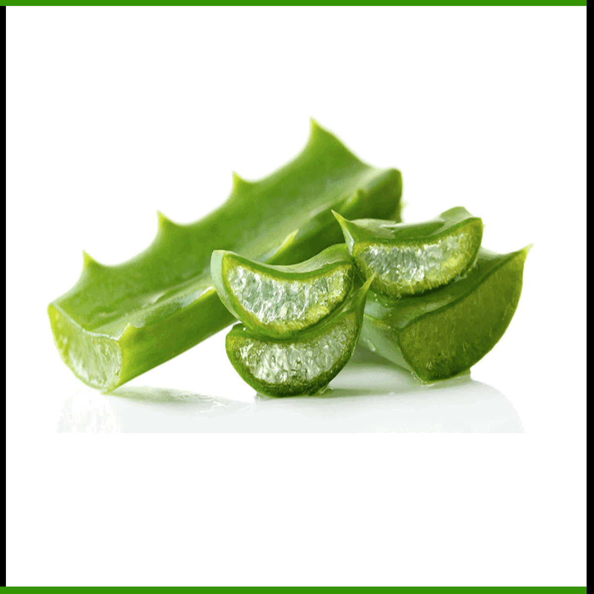 Joy Princess : Dicas e receitas com Babosa para a pele,rosto e cabelo