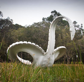car tyre swans