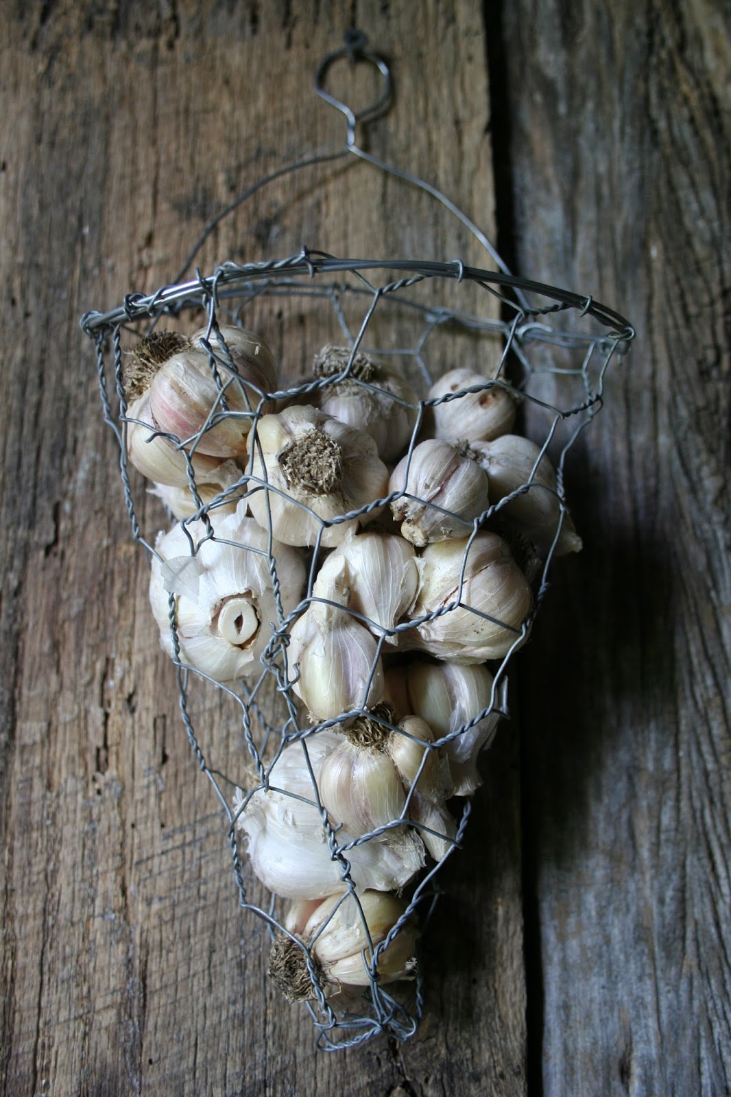 Chicken Scratch Poultry: Home Grown Garlic