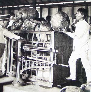 No Dhimmitude: Iquitos, Peru: Rubber Boom and the Rubber Barons of the ...