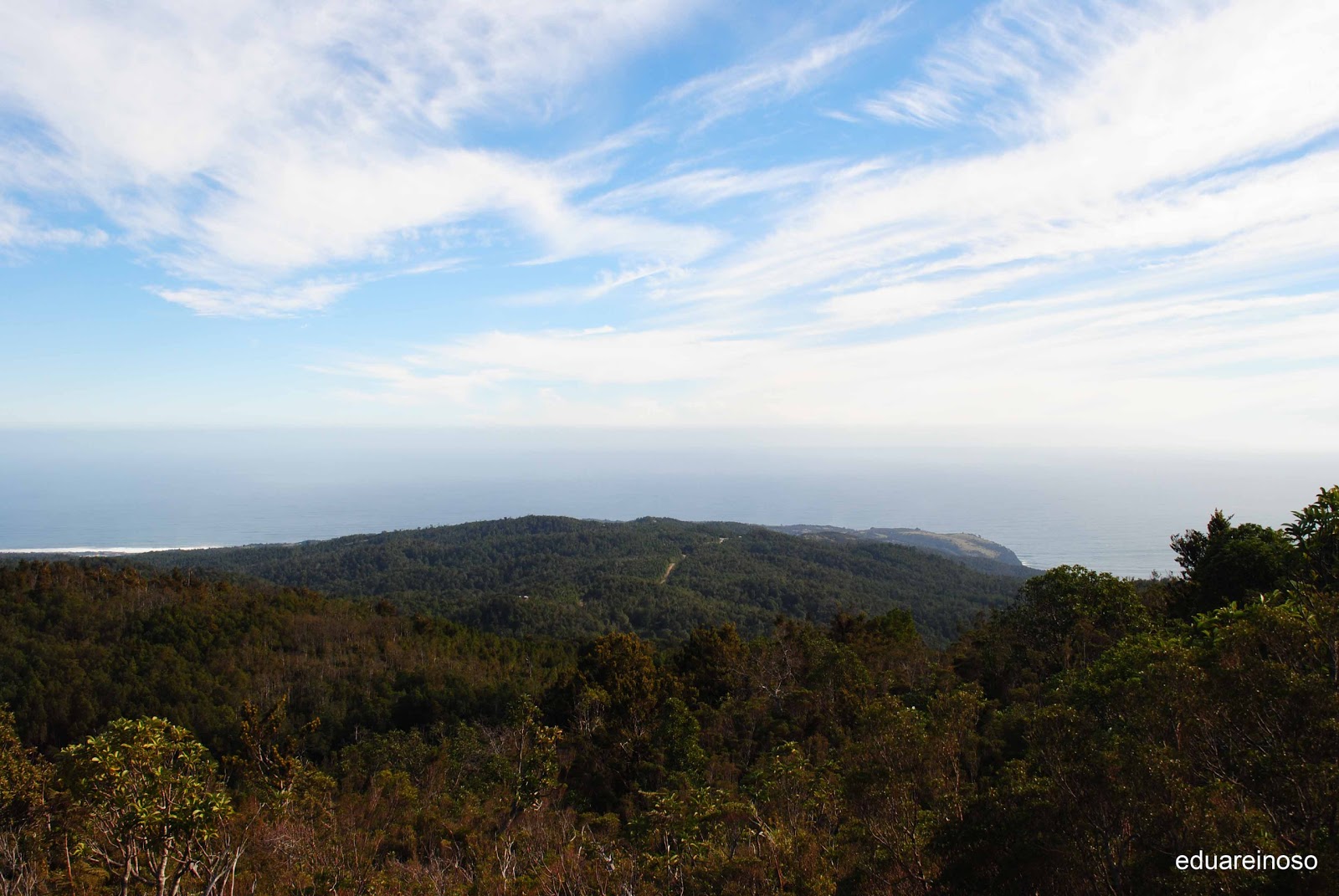 Ojos de Concepción: Selva Valdiviana, Parque Oncol - Valdivia