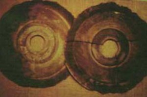 Omul nu a fost niciodată primitiv + documentar (RO)