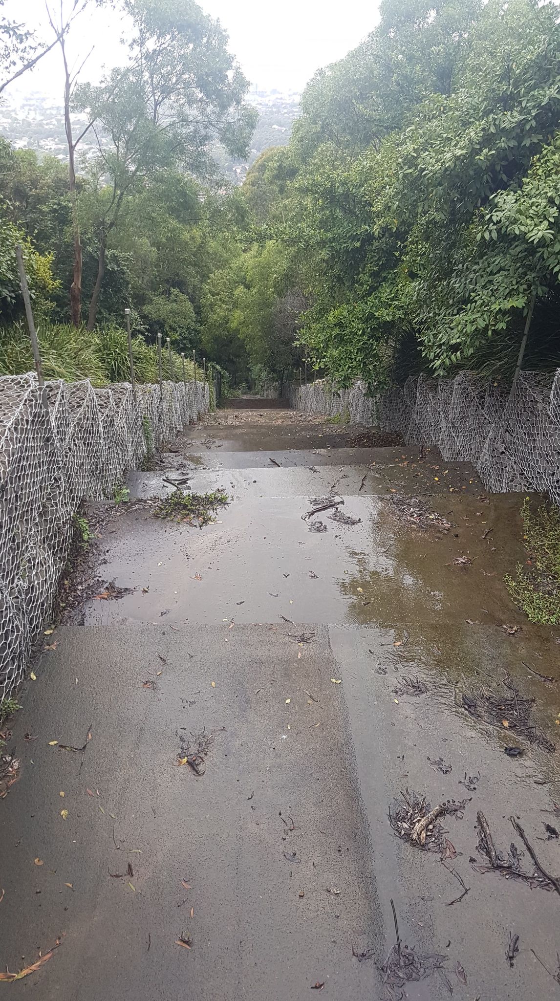 Steventure: Mount Keira - Ken Ausburn Track