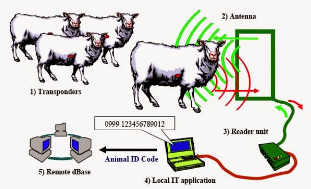 SeptriandiBlog: Mengenal RFID ( Radio Frequency Identification ) PART 2