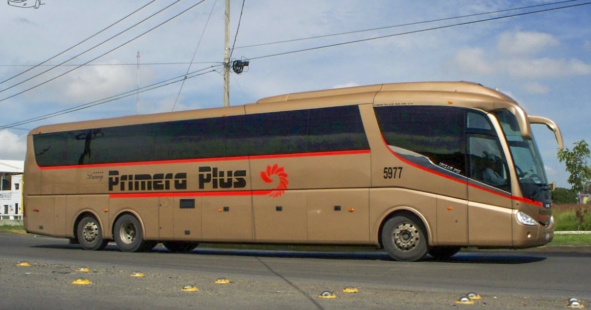 MAXIBUSES: PRIMERA PLUS