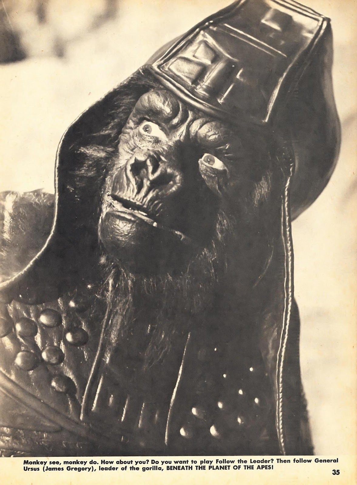 Archives Of The Apes: Five Years