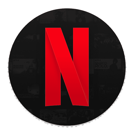 About Netflix HD Video Downloader Software: