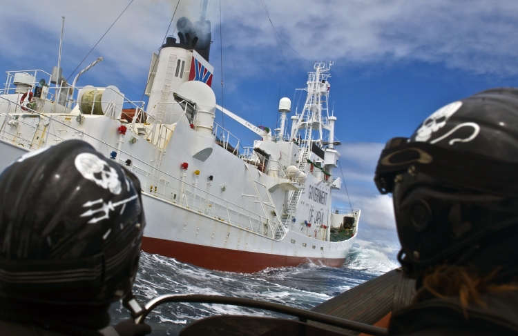 Yardy Yardy Yardy: Divine Wind: Japanese POWs