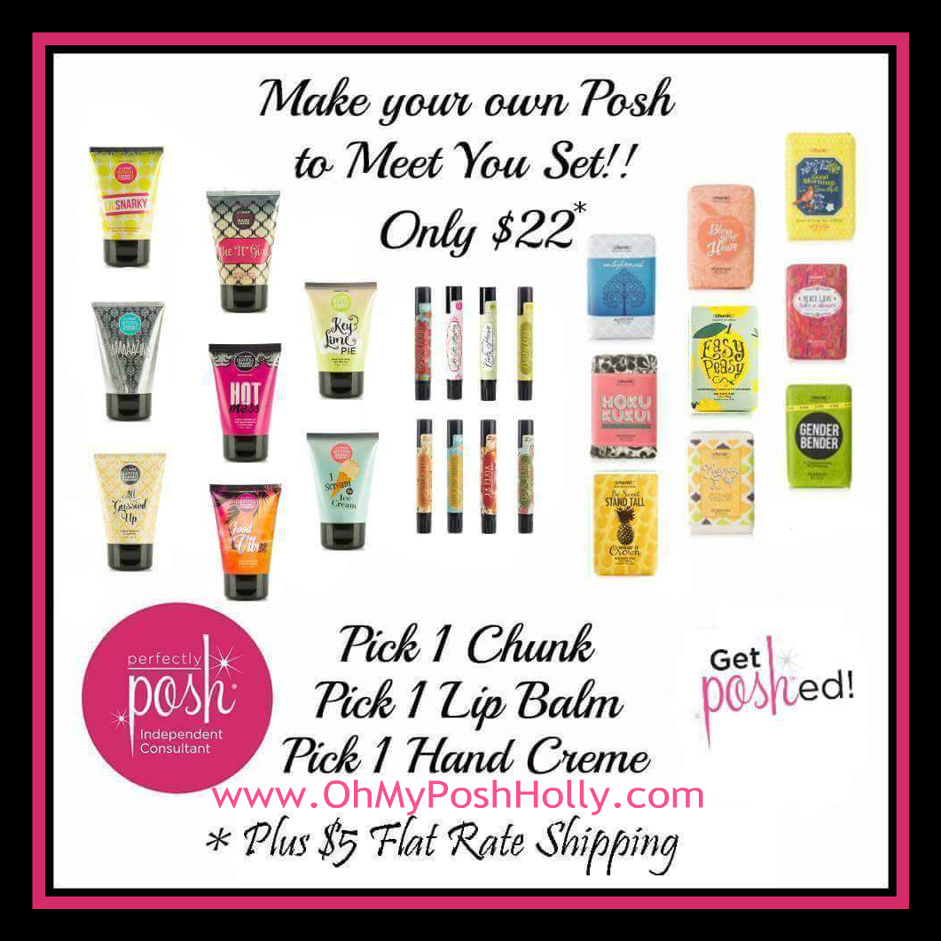 This Side Of The Fence: Make your own Posh to Meet you set