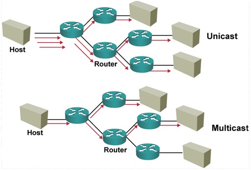 Network Bytes Every Byte Of Information Is Important Transmission Type