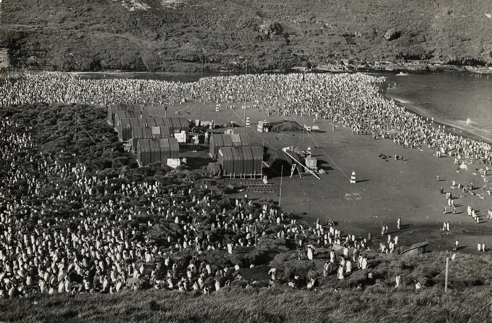 Blog officiel du district de Crozet - TAAF: Petit tour de la base ...