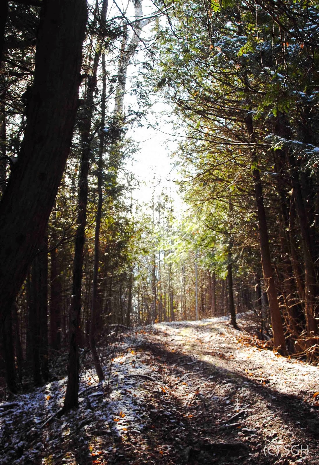 Seasons in the Valley + Furry Gnome's Adventures: Exploring the ...