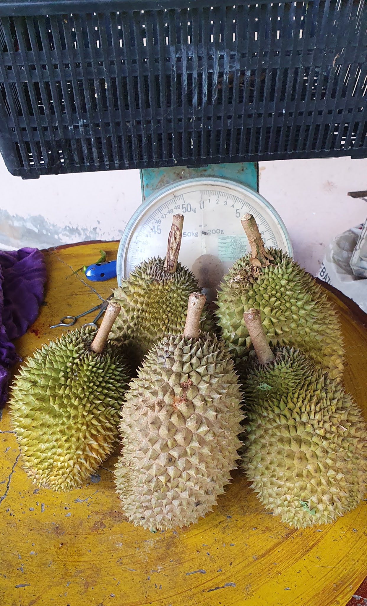 Warisan Petani: Pokok Durian D2