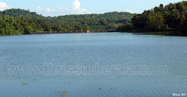 Way to your dream place: Poomala Dam