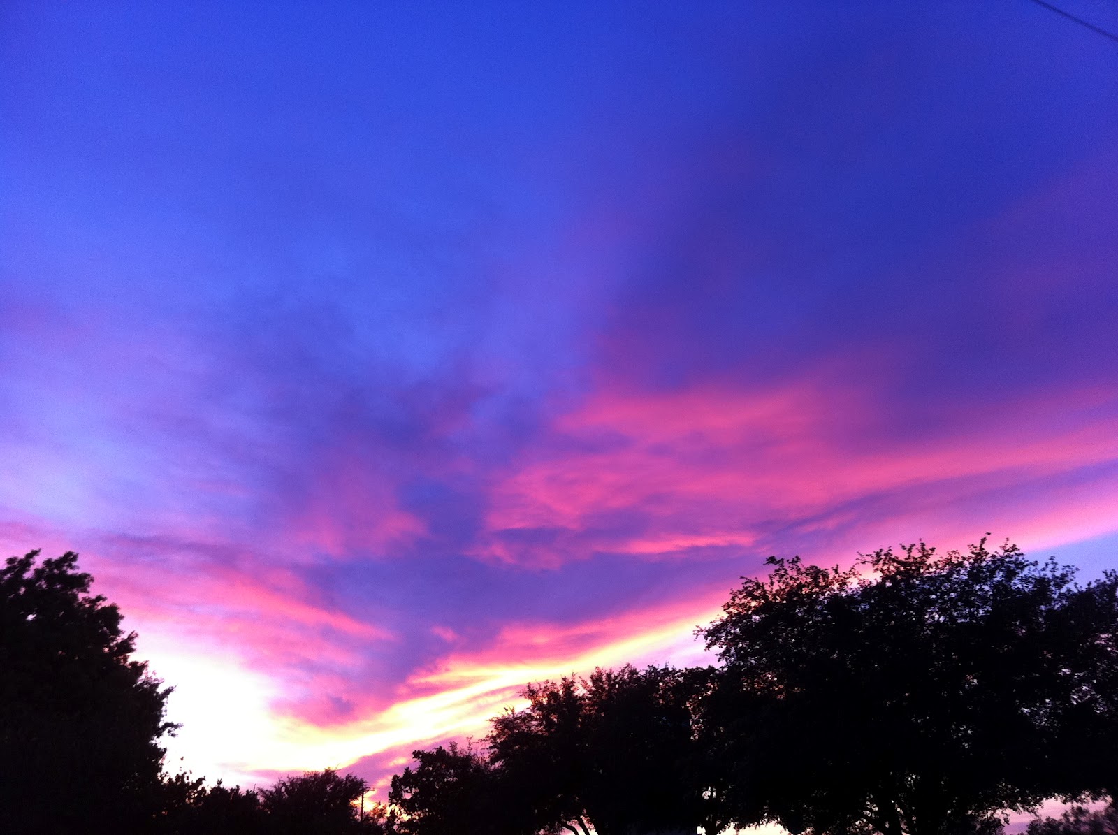 Redneck Haiku: Life in Poetry... Texas