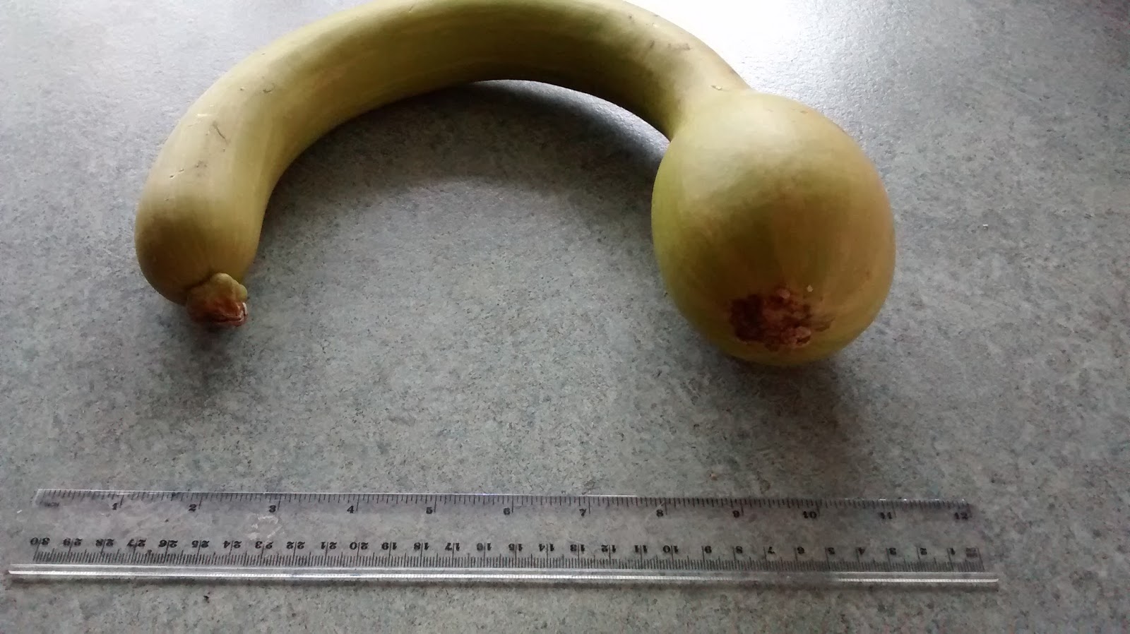 Tracing Rainbows: In Which I Buy A Strangely Curved Squash, And Then My ...