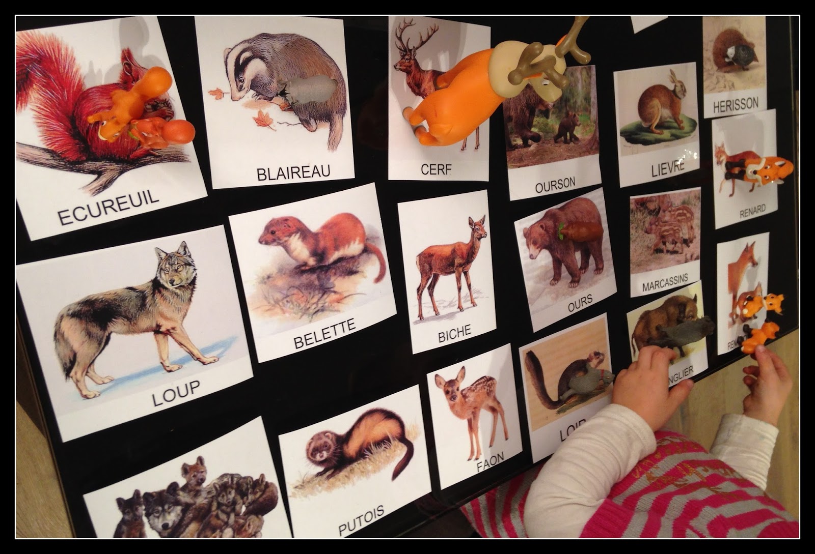 Mon joli petit bureau: Les animaux de la forêt (L'art est un jeu d ...