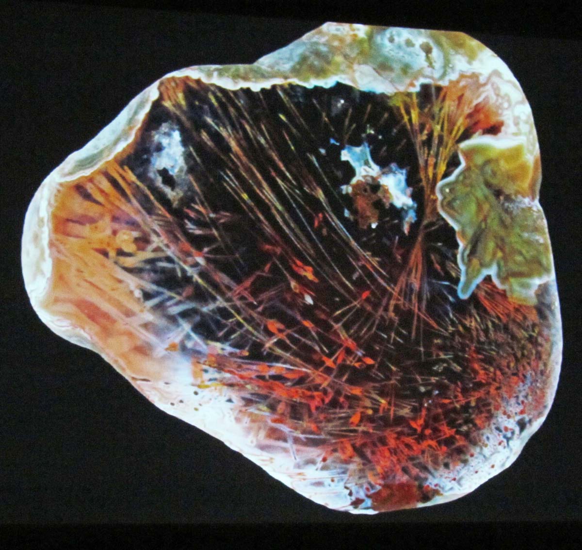 The Agatelady: Adventures and Events: The Celebration of Agates ...