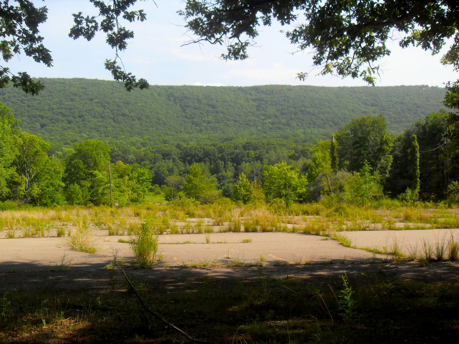 ART SKOOL DAMAGE : Christian Montone: Memento Mori: The Ghost Of Angela ...