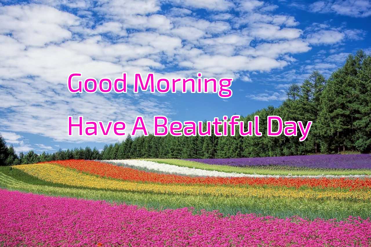 Good morning images Latest new hd pic for whatsapp & social media.