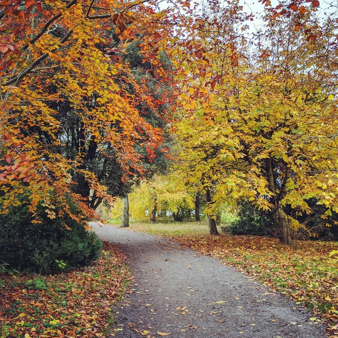 106 Pictures of Ireland That Will Make You Feel Like You're There