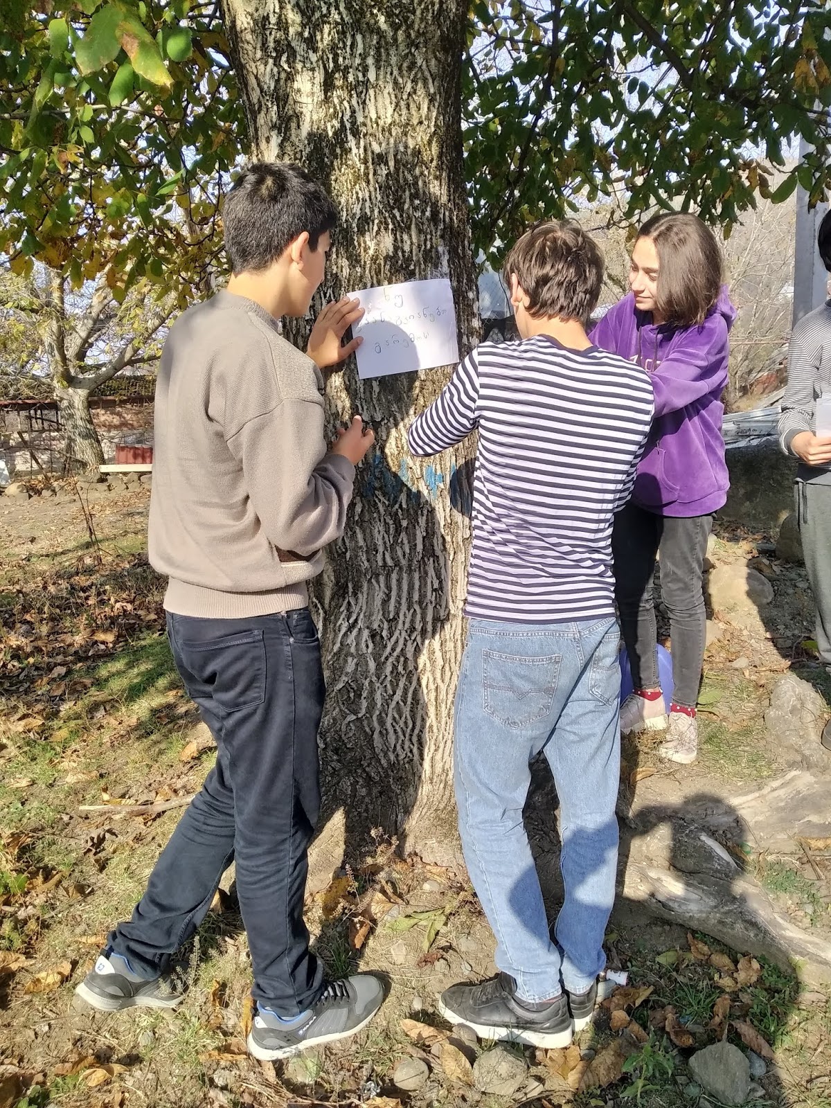 socialuri prroeqtis fotoebi