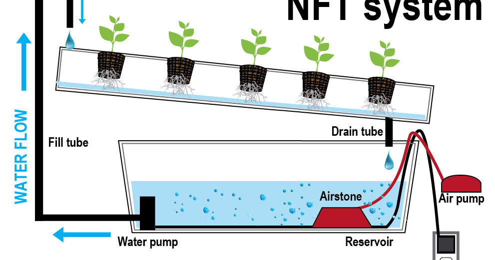 Macam-Macam Metode Bertanam Hidroponik - Gerakan menanam dengan cara ...