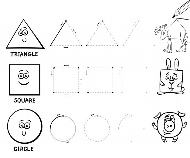 Escuela Consuelo Zavala: ING N