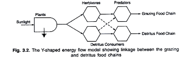 Environmental Sciences