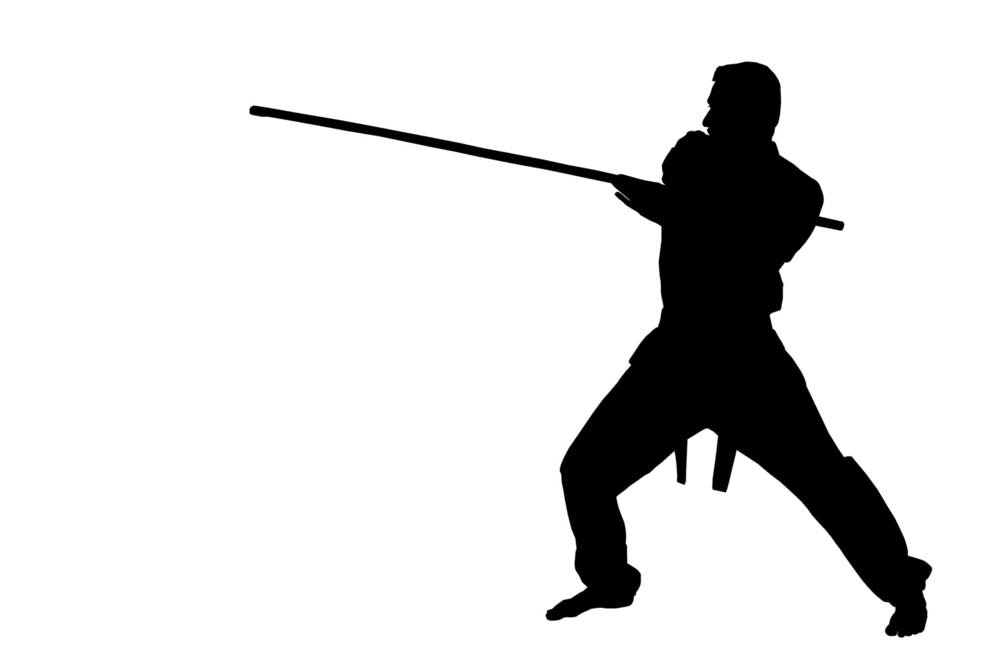 Panchabootha International Martial Arts Academy: Silambam Clipart , vector