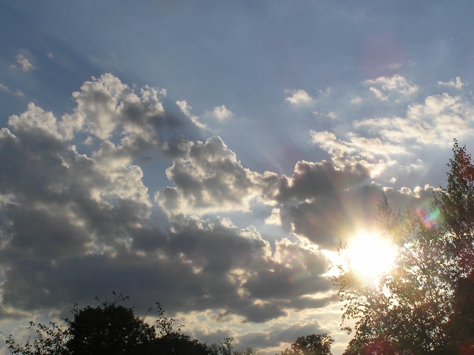 Splendid Little Stars: Late Afternoon Sky: SkyWatch Friday