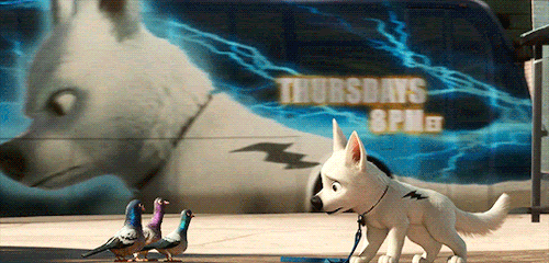 Animated Film Reviews: Bolt (2008) - Heartwarming Tale of a Seriously ...