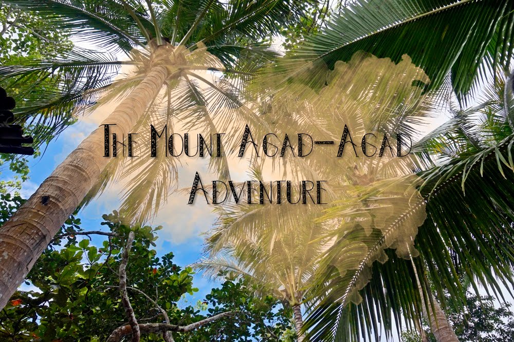Iligan City: Trekking to Mount Agad-Agad — The Random Bibliophile