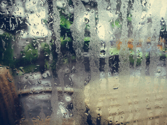 "LO QUE MATA ES LA HUMEDAD"