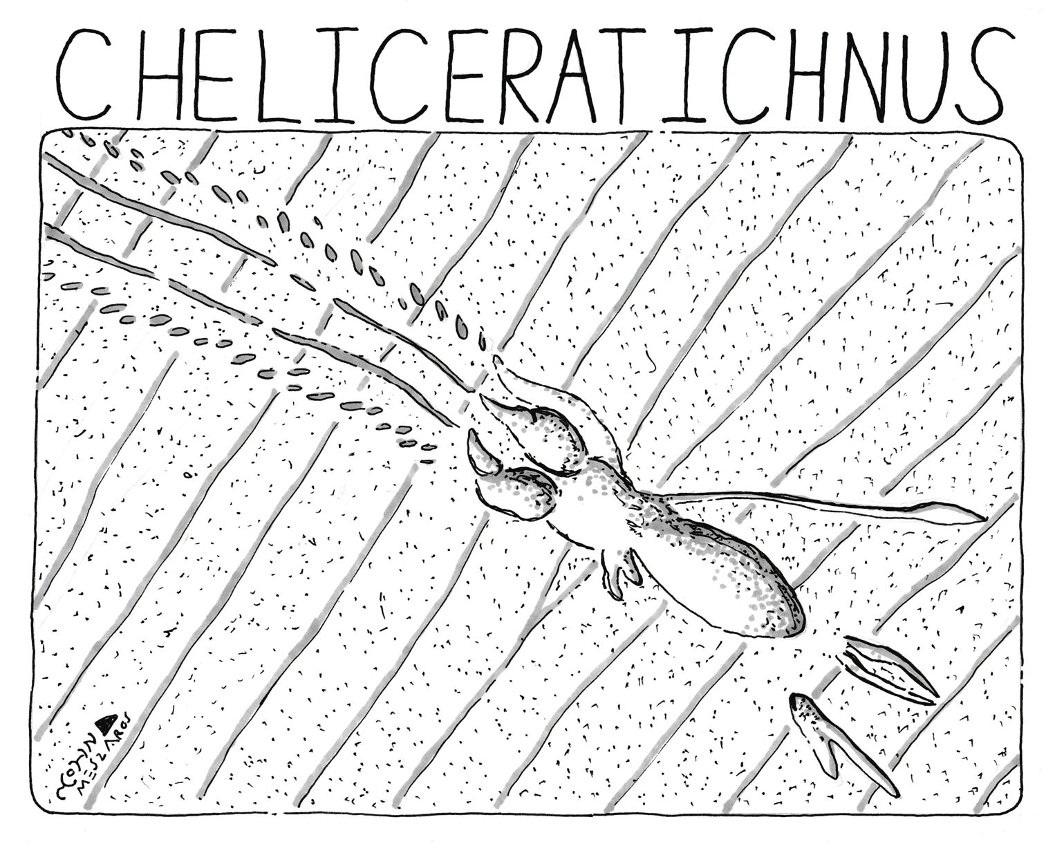 Dilophosaurus Bard: Small Fossil Tracks of the Connecticut Valley