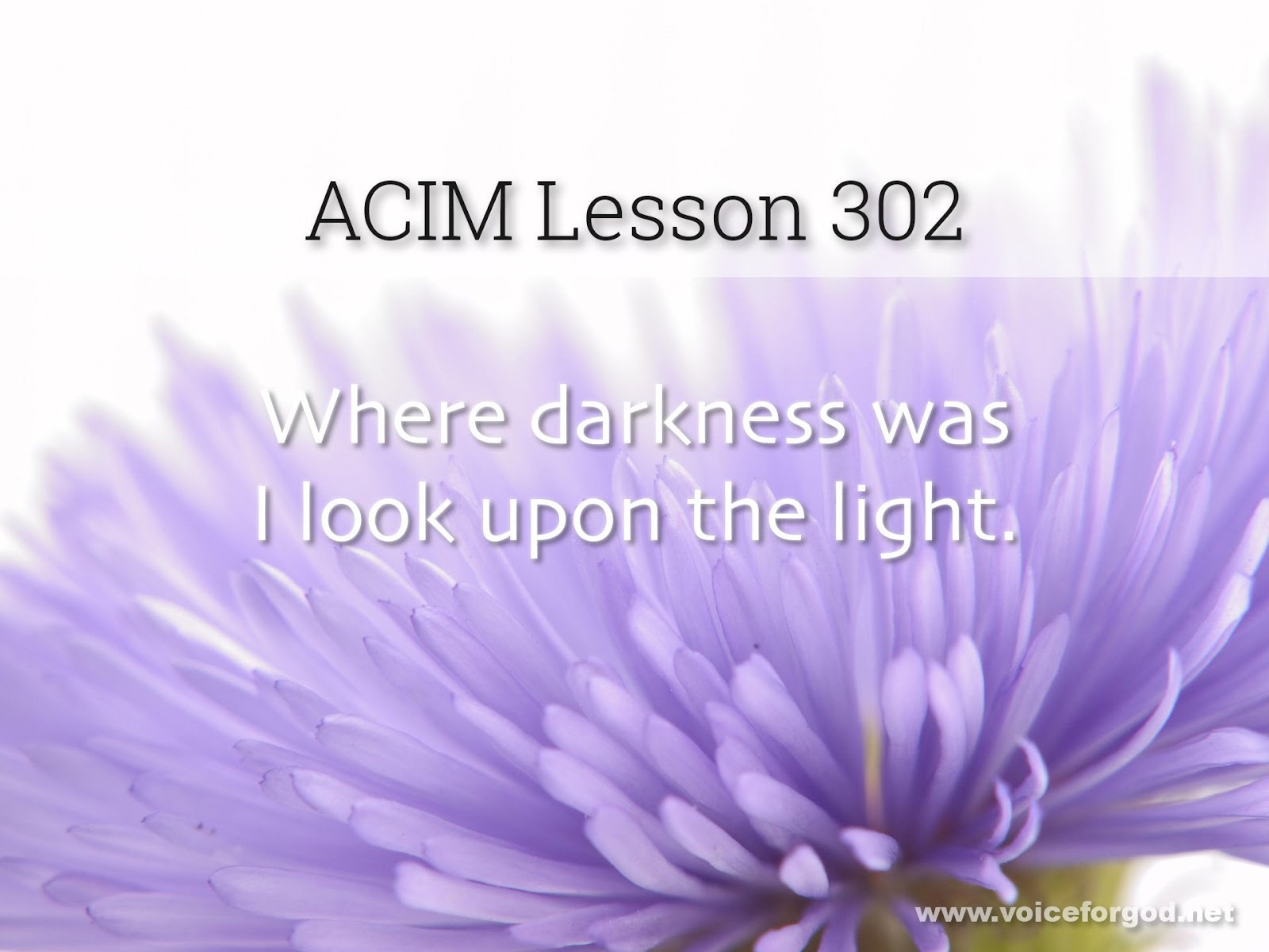 Miracle Life: ACIM Workbook Lesson 302